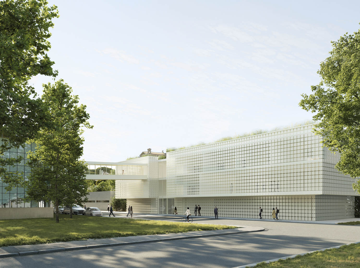Busselli Scherer | New Rita Levi Montalcini Laboratory Hub Research