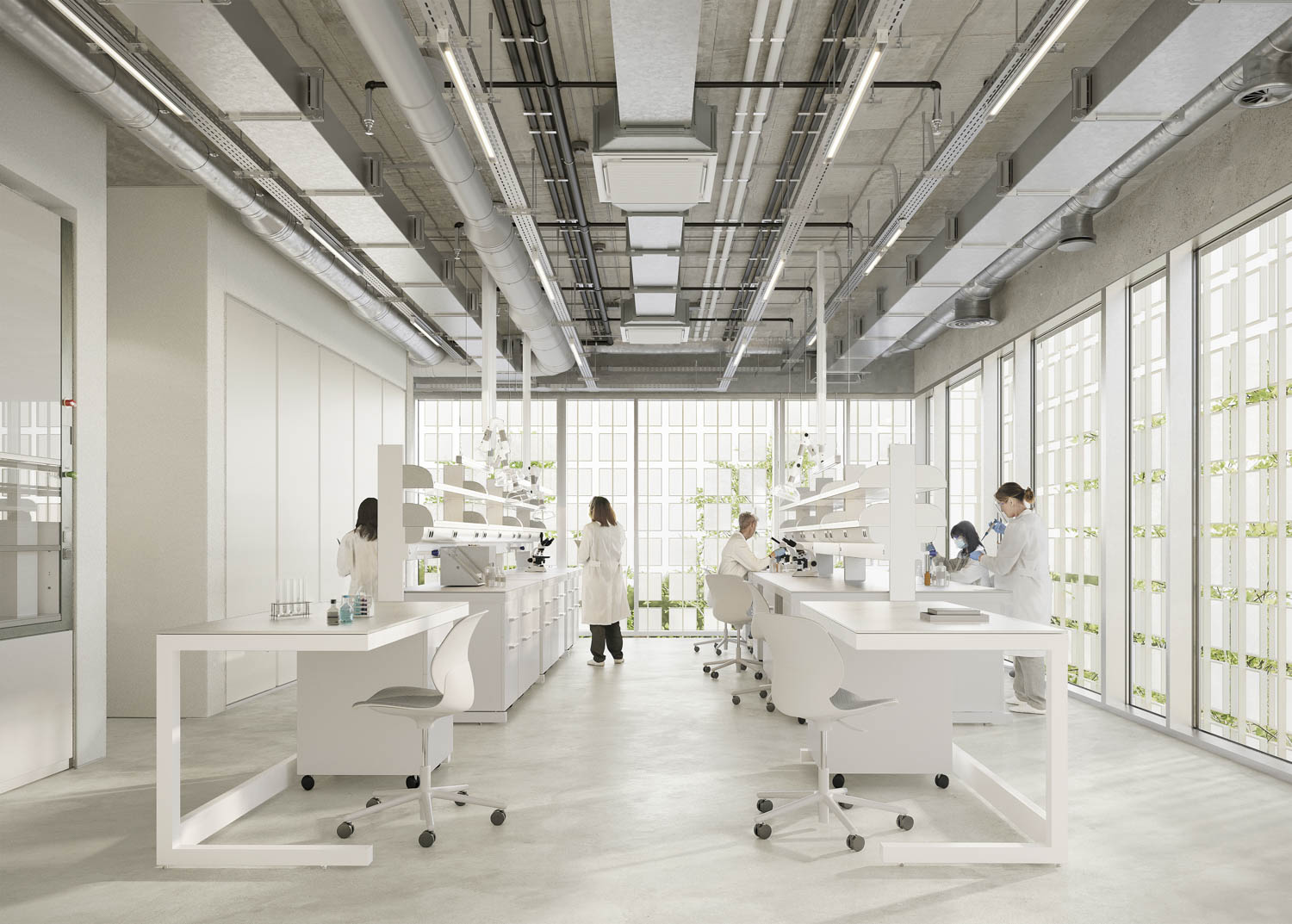 Busselli Scherer | New Rita Levi Montalcini Laboratory Hub Research